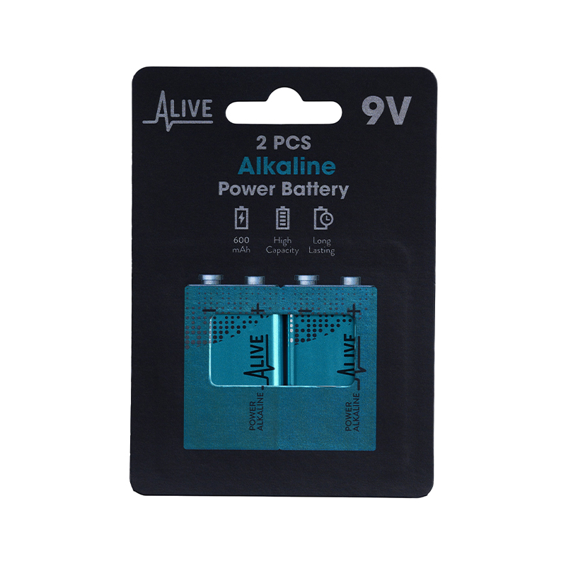 Batteri 9V 6LR61 2 pak | Kop & Kande